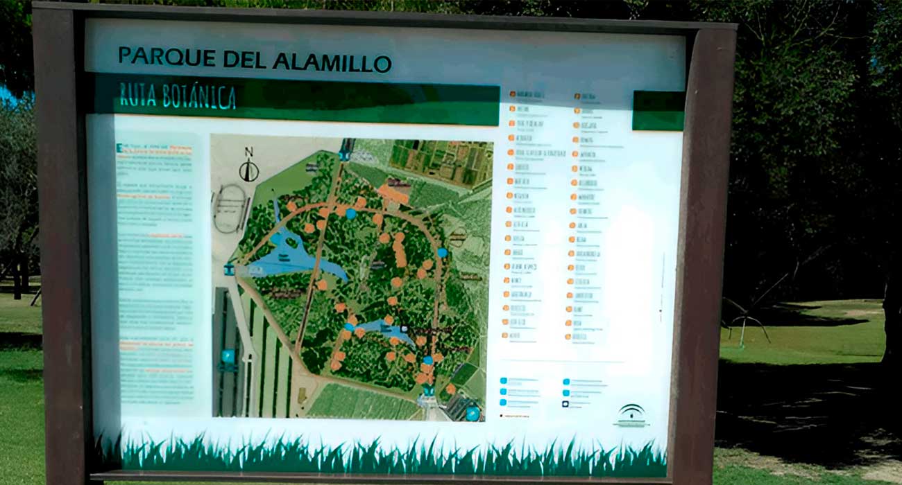 Parque del Alamillo: conoce sus Rutas botánicas y visitas al Vivero