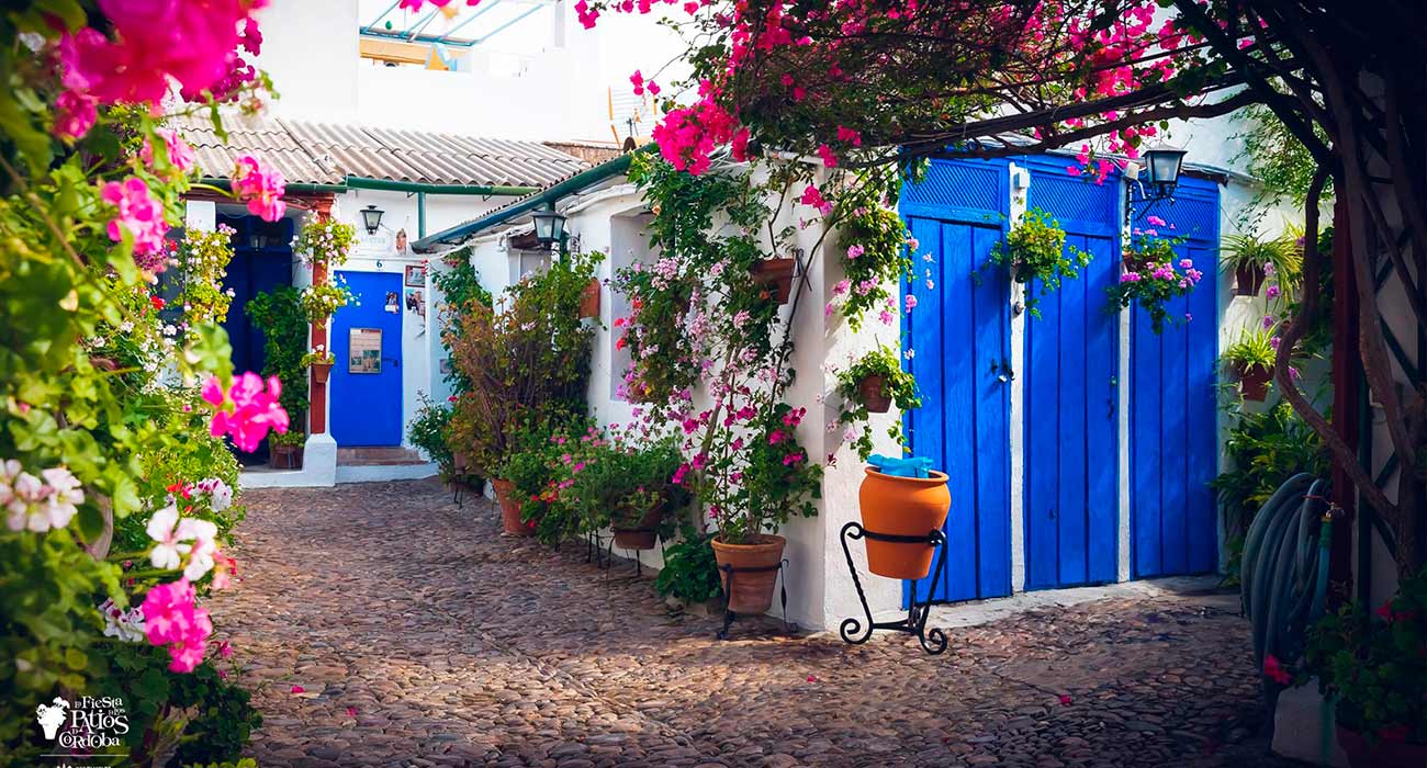 Los Patios de Córdoba, la excusa perfecta para visitar Córdoba